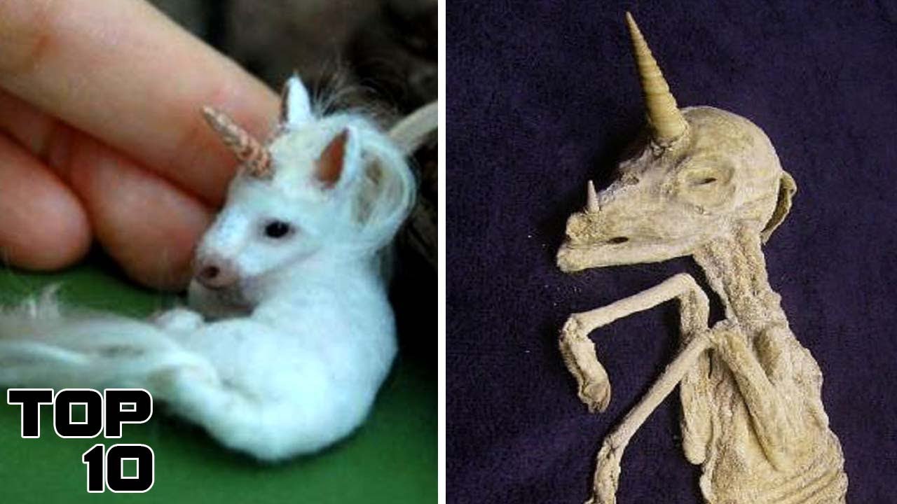 Top 10 Weirdest Animals That Came back From Extinction - YouTube