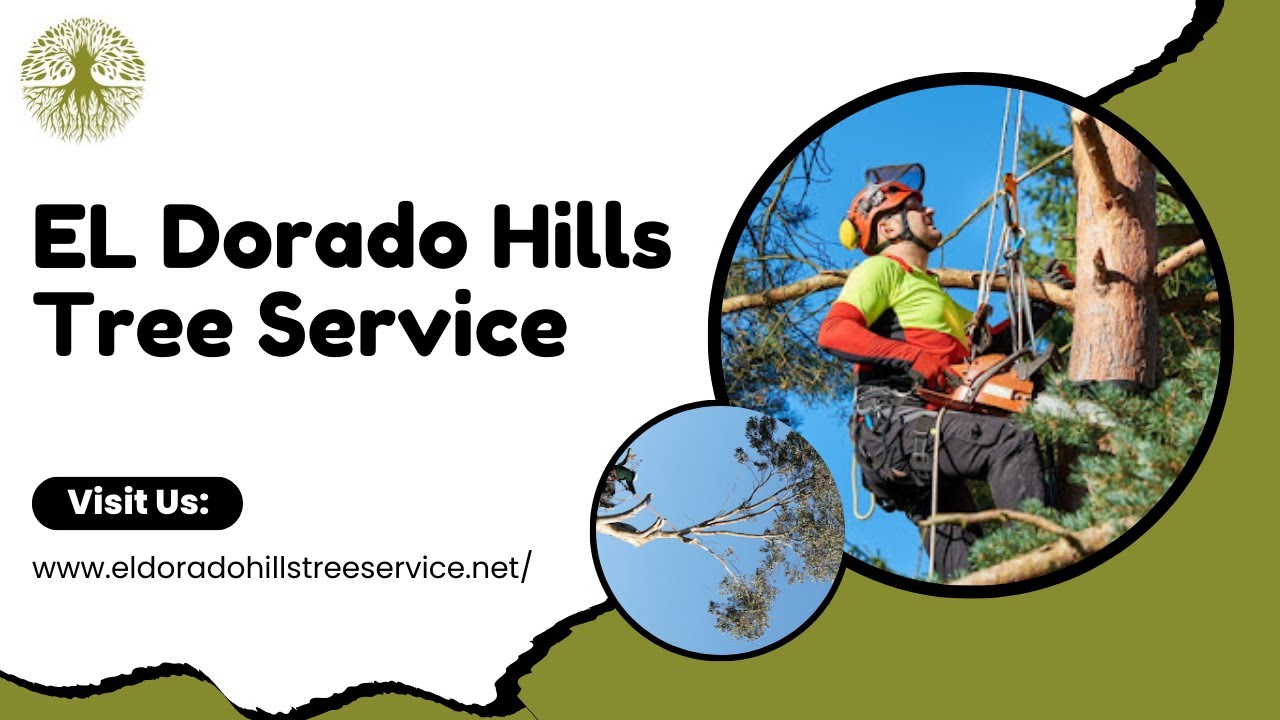 EL Dorado Hills Tree Service - Tree Removal El Dorado Hills | Tree ...