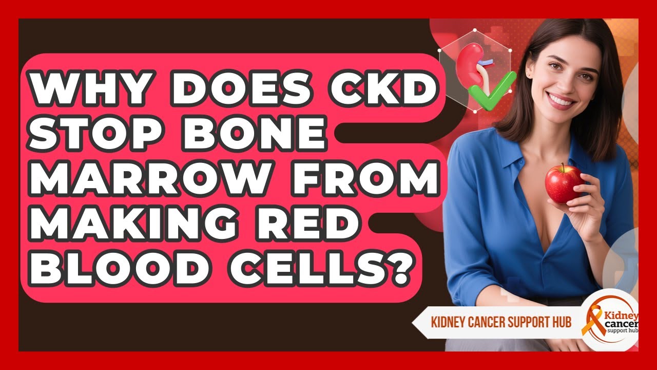 Why Does CKD Stop Bone Marrow From Making Red Blood Cells? - Kidney ...