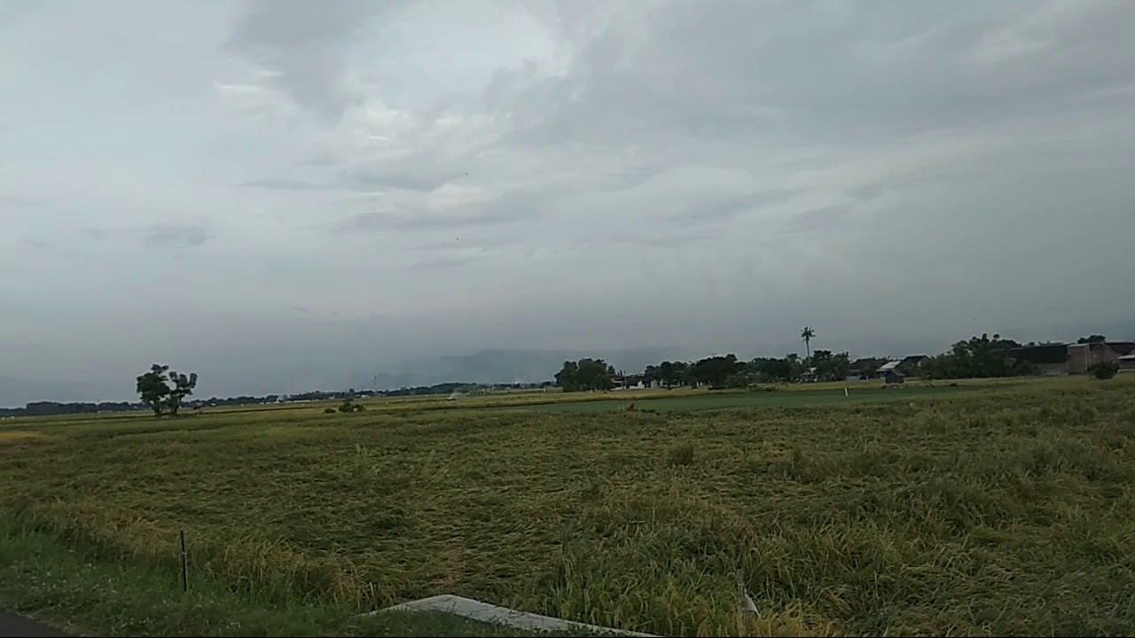 Eksotika Desa Demung Barat Besuki Jl. Daendels (Dendles) - YouTube