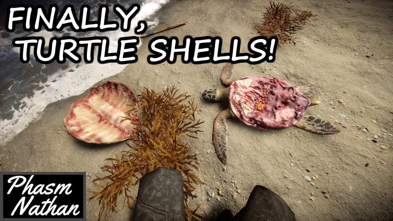 I FINALLY FOUND TURTLE SHELLS! | Sons of the Forest Ep. 36 - YouTube