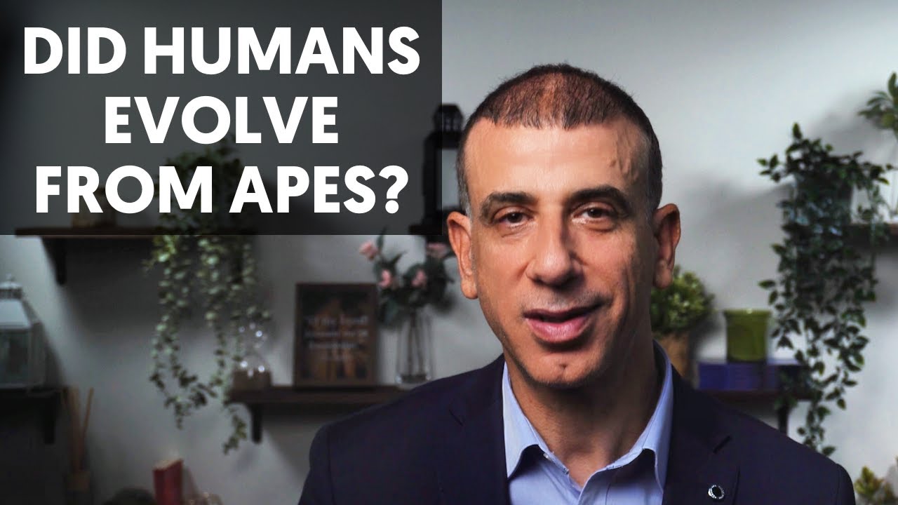 Did Humans Evolve From Apes? - YouTube