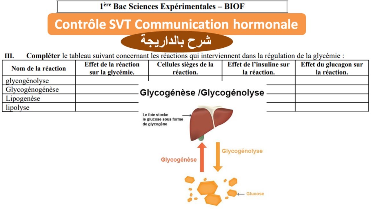 Examen Svt 1bac Sc Ex Biof Communication Hormonale شرح بالداريجة