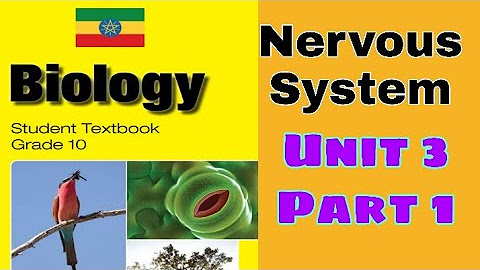 Grade 10 Biology Unit 3 The Nervous system - YouTube