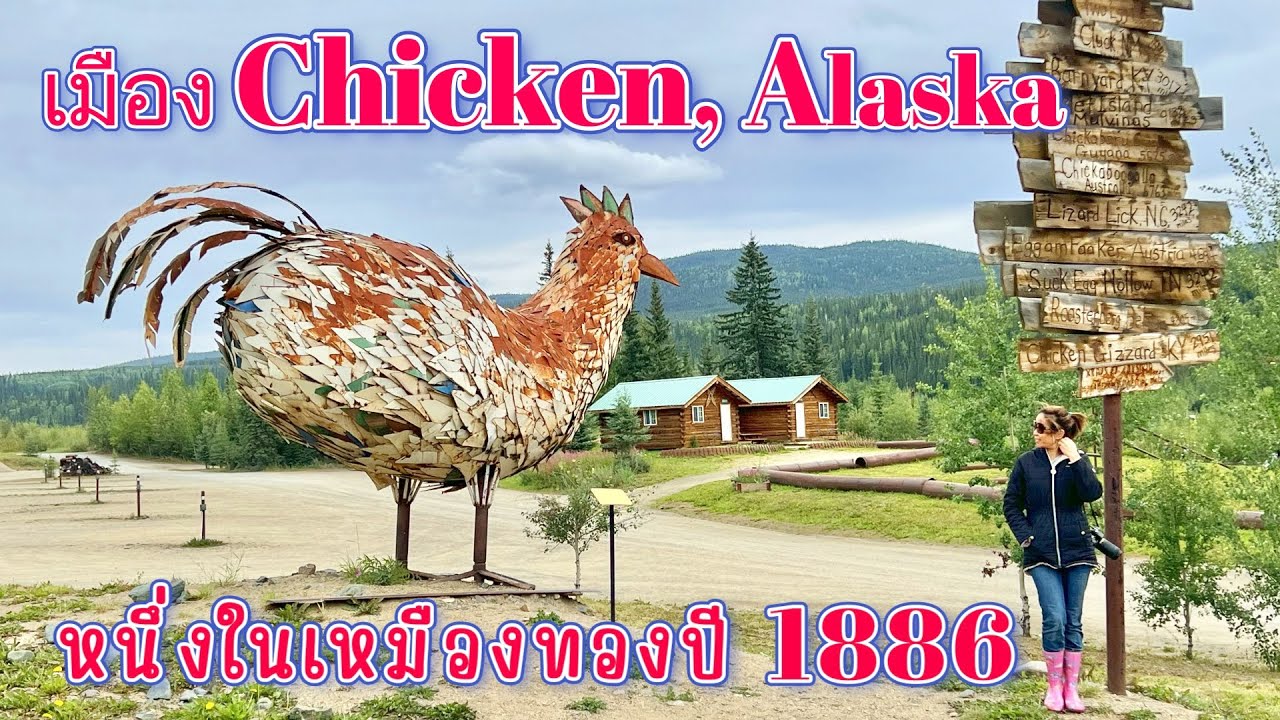 EP. 137 - เมือง Chicken, Alaska หนึ่งในเหมืองทองปี 1886 #เที่ยวอเมริกา ...