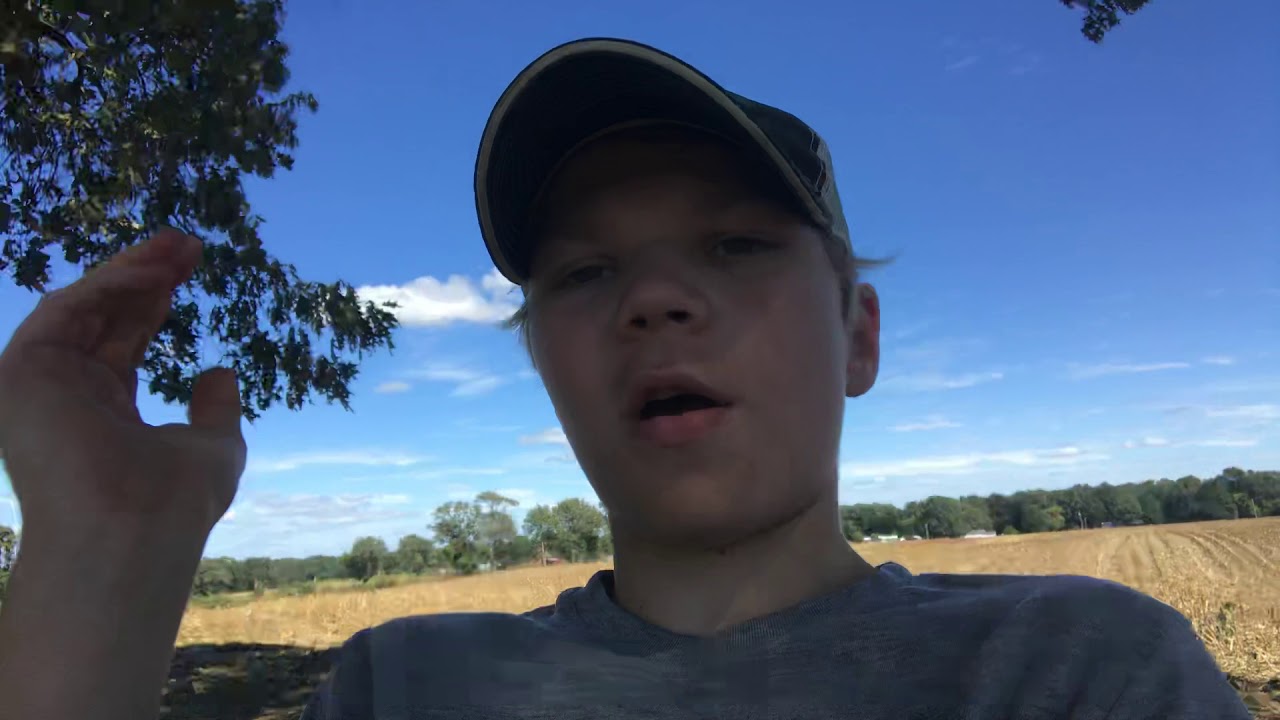 We maybe starting back Vlogs just comment yes or no - YouTube