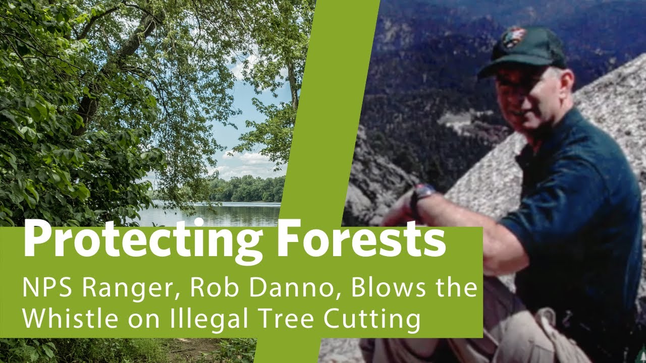 Protecting Forests: NPS Ranger, Rob Danno, Blows the Whistle on Illegal ...