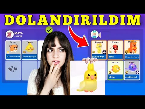 PK XD PET TAKASINA YENİLİKLER GELDİ ! PET ÇALANLAR ÇOĞALDI ?! BENDE DOLANDIRILDIM ? | ÖZGÜŞ TV