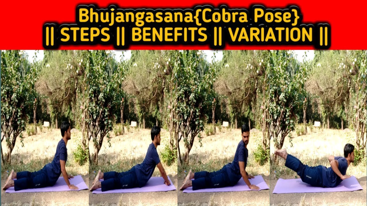 Bhujangasana{Cobra Pose} || STEPS || BENEFITS || VARIATION || भुजंगासन ...