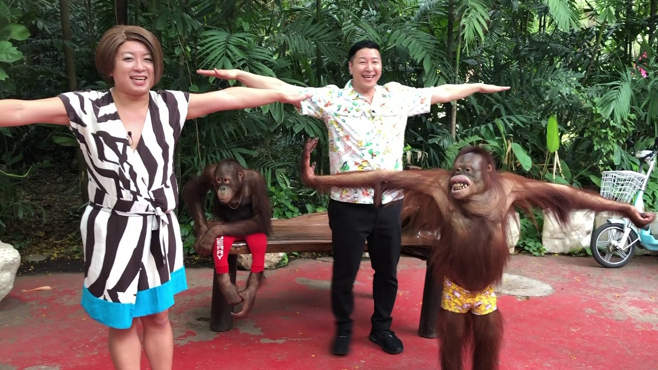 【TT】TT Brothers Thailand - YouTube