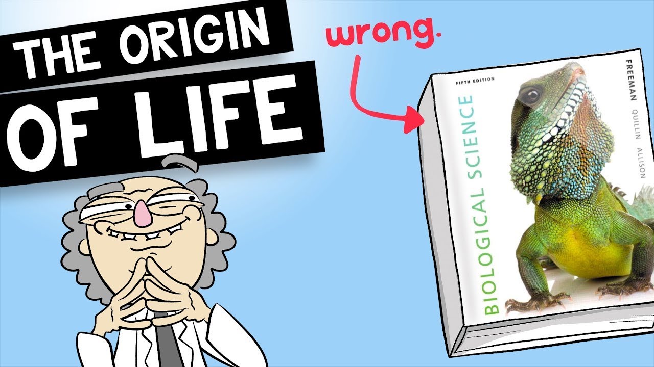 Évolution chimique : Votre manuel de science se trompe sur l’origine de ...