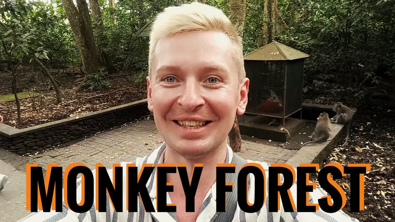 УБУД /ЛЕС ОБЕЗЬЯН🐒МИЛЫЕ🐵БАЛИ2024/MONKEY FOREST/#bali2024 #ubud #monkey - YouTube