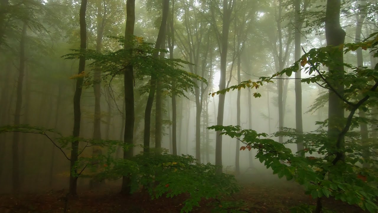 THE MIST - Landscape video - YouTube