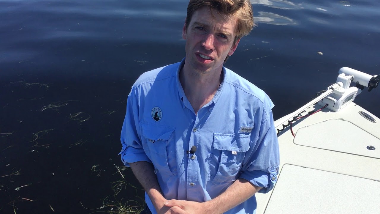 NWF CEO & President Collin O'Mara: Southwest Florida Toxic Algae ...