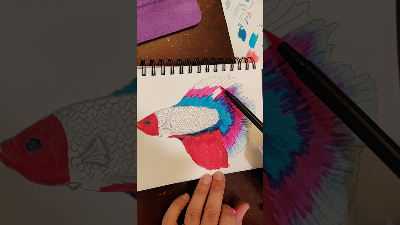 How to draw and color a Betta Fish! - YouTube