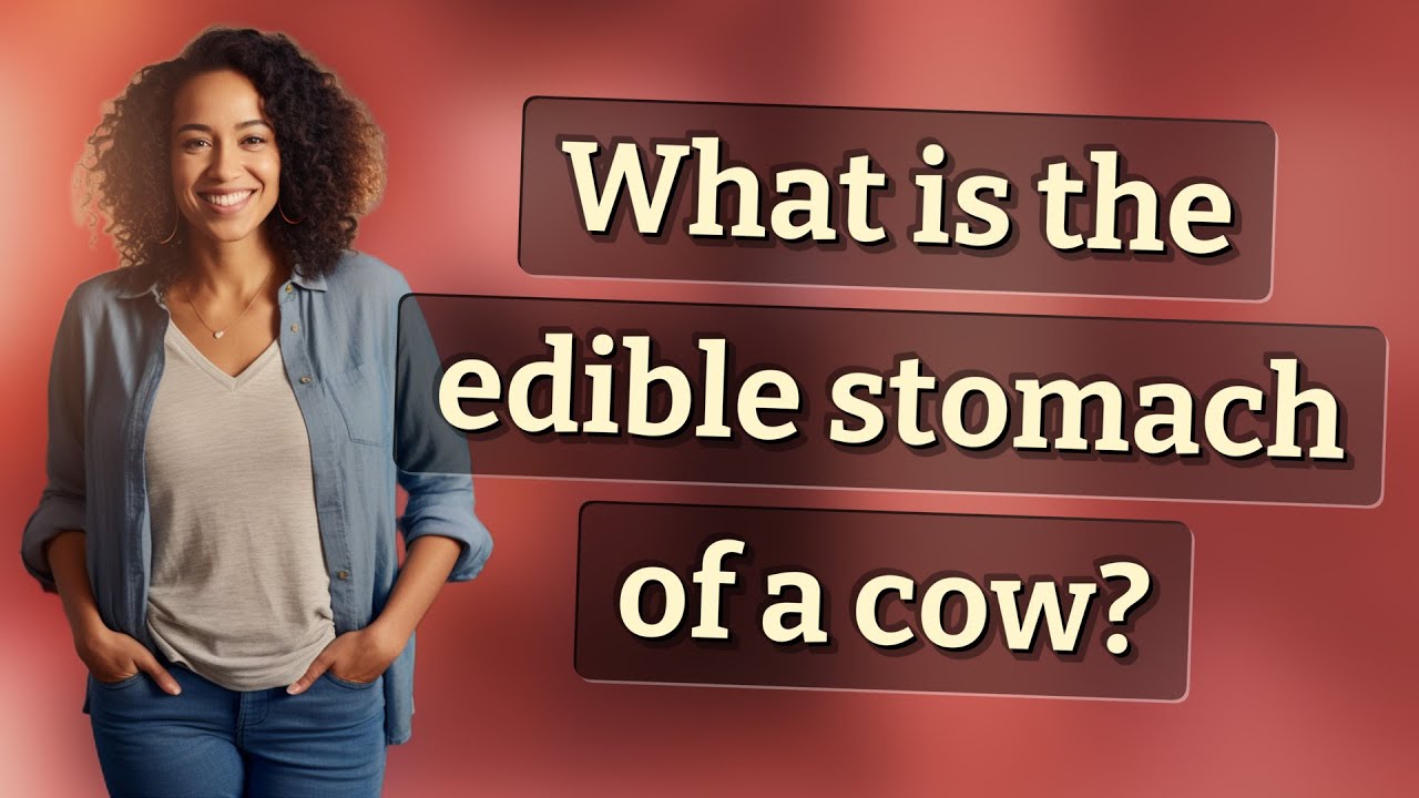 What is the edible stomach of a cow? - YouTube