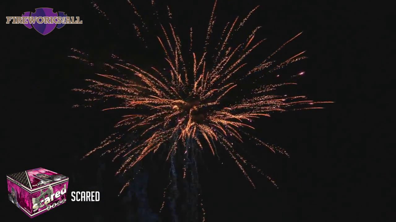 FireworksForAll - Scared [OFFICIAL VIDEO] - YouTube
