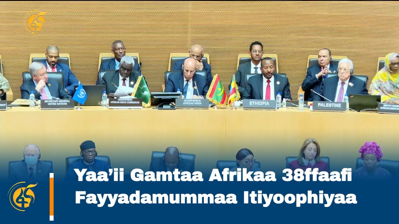 Yaa’ii Gamtaa Afrikaa 38ffaafi Fayyadamummaa Itiyoophiyaa - YouTube