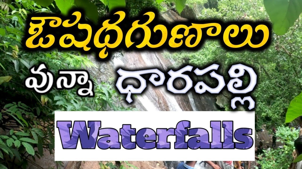 ధారపల్లి వాటర్ ఫాల్స్ dharapalli waterfalls #indian #andhrapradesh # ...
