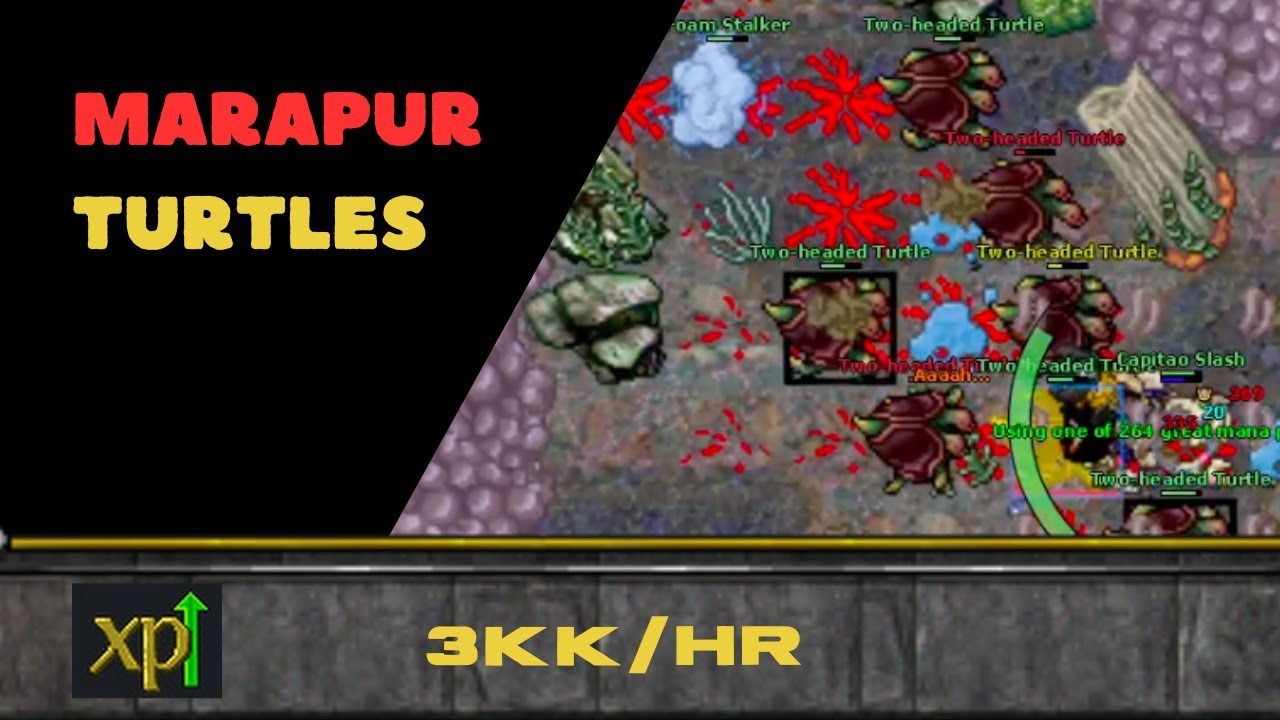 Tibia RP 400+ | Marapur Turtle | 3kk/hr - YouTube