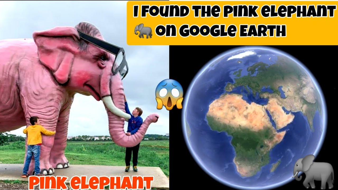 🌍OMG!! The pink Elephants🐘 Found on Google Maps😱📍#googleearth #earth ...