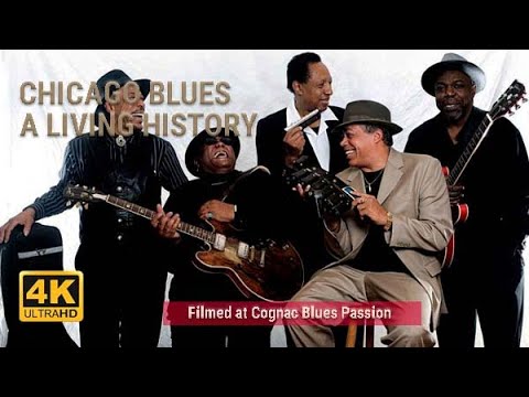 Chicago Blues Orchestra: A Living History - YouTube