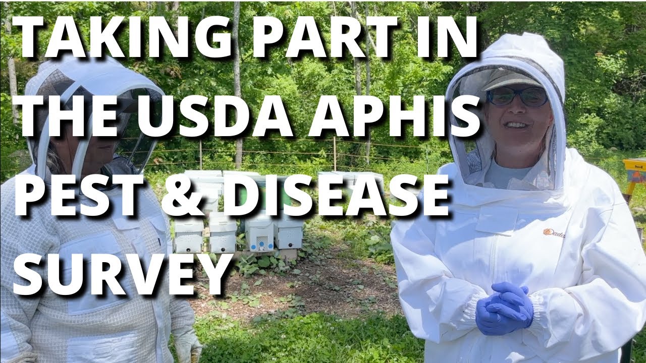 Taking part in the USDA APHIS Pest and Disease Survey - YouTube