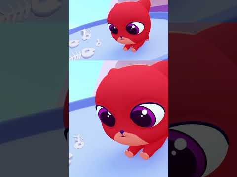 Oh 😭 Miyav miyav meow meow #cat #kukuli #meow #billieeilish