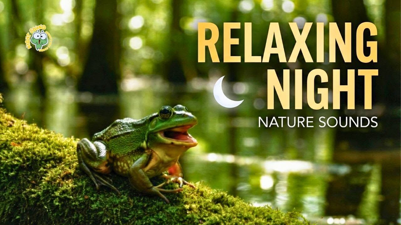 DEEP SLEEP Instantly: Calming Swamp Nature Sounds (Frogs Chirping ...