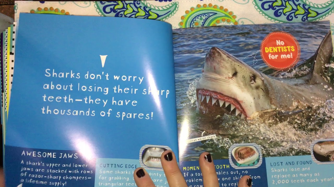 So Cool! Sharks #thanks2scholastic - YouTube