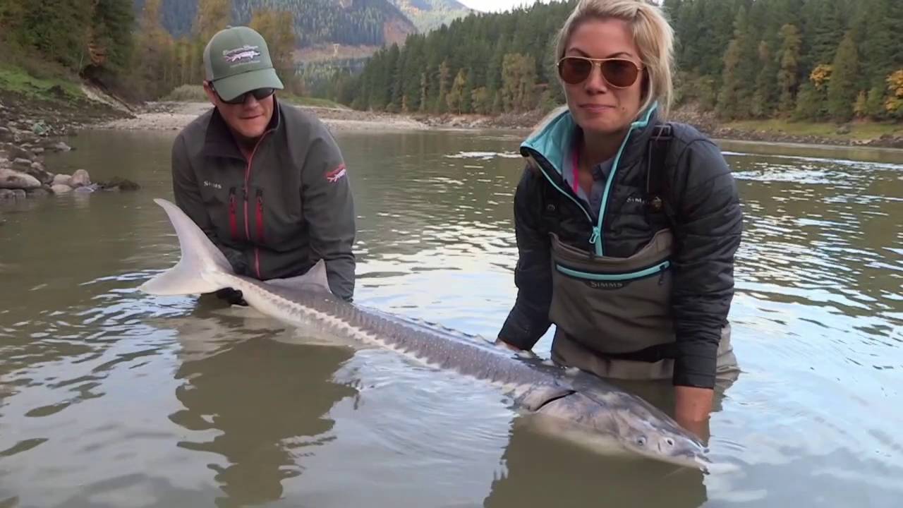 Dinosaur fishing - YouTube