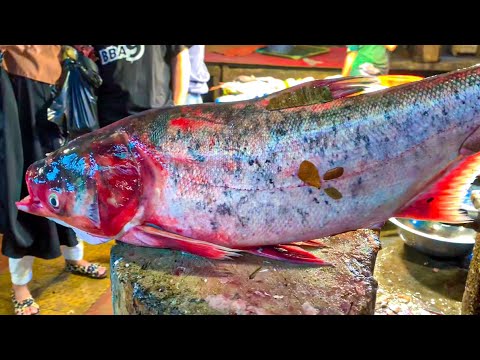 Big Silver Cup Fish Cutting skills By Expart fish cutter |Ssr Fish ...