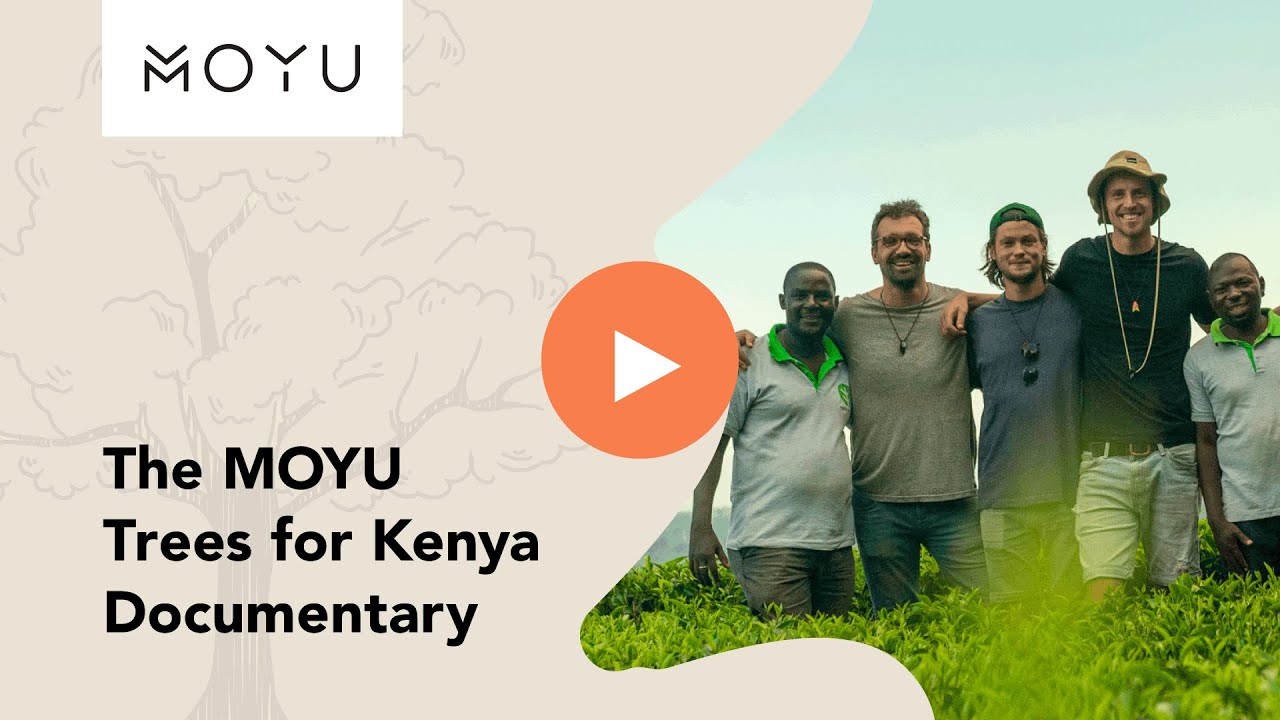 MOYU | Trees for Kenya mini documentary - YouTube