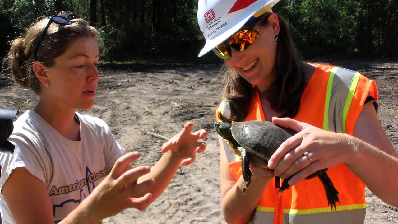 Meet Michelle Rhodes, civil engineer - YouTube
