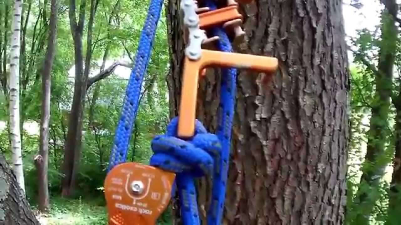Unicender Climbing SRT (Single Rope Technique) — Bartlett Arborist