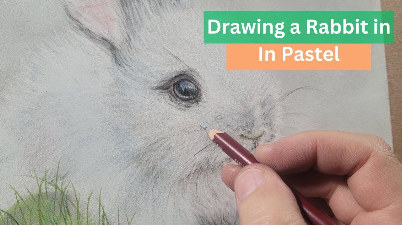 Draw a white rabbit! - YouTube