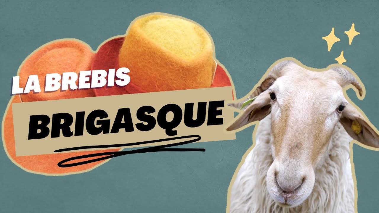 La Brebis Brigasque - YouTube