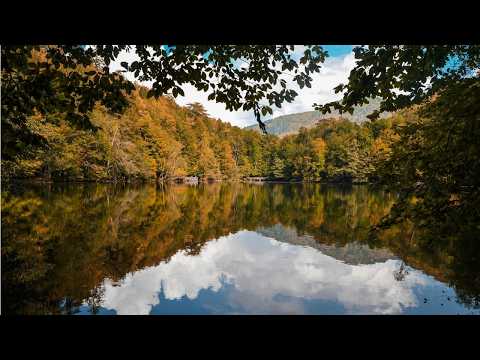 YEDİGÖLLER | Hafta Sonu Kaçamağı #yedigöller 