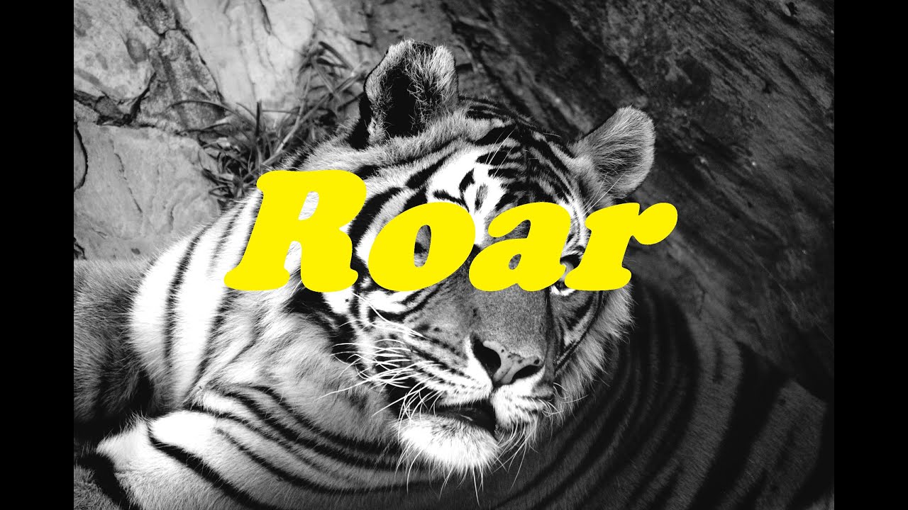 Roar/Katy Perry/Cats_love/Lyrics - YouTube