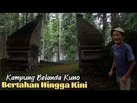 Mengunjungi \