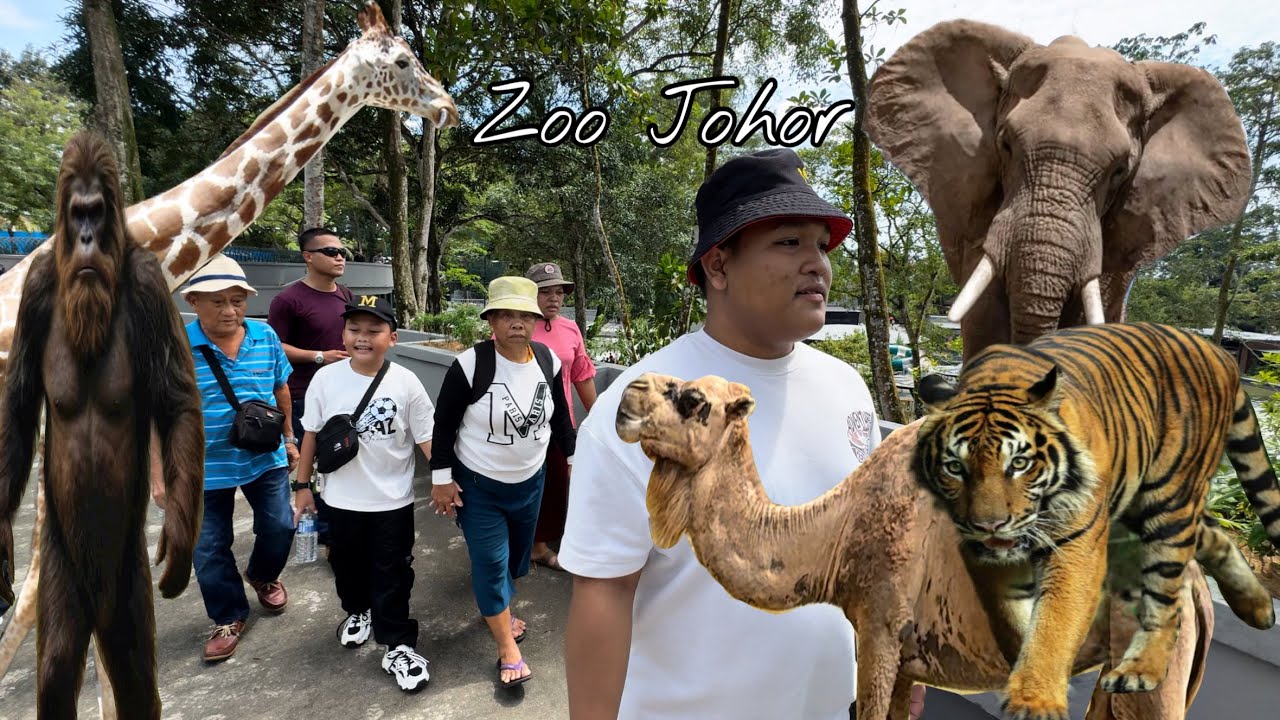 ZOO JOHOR // Kumang Jawai & Bujang Sigat Nak Tengok Binatang Kesukaan ...