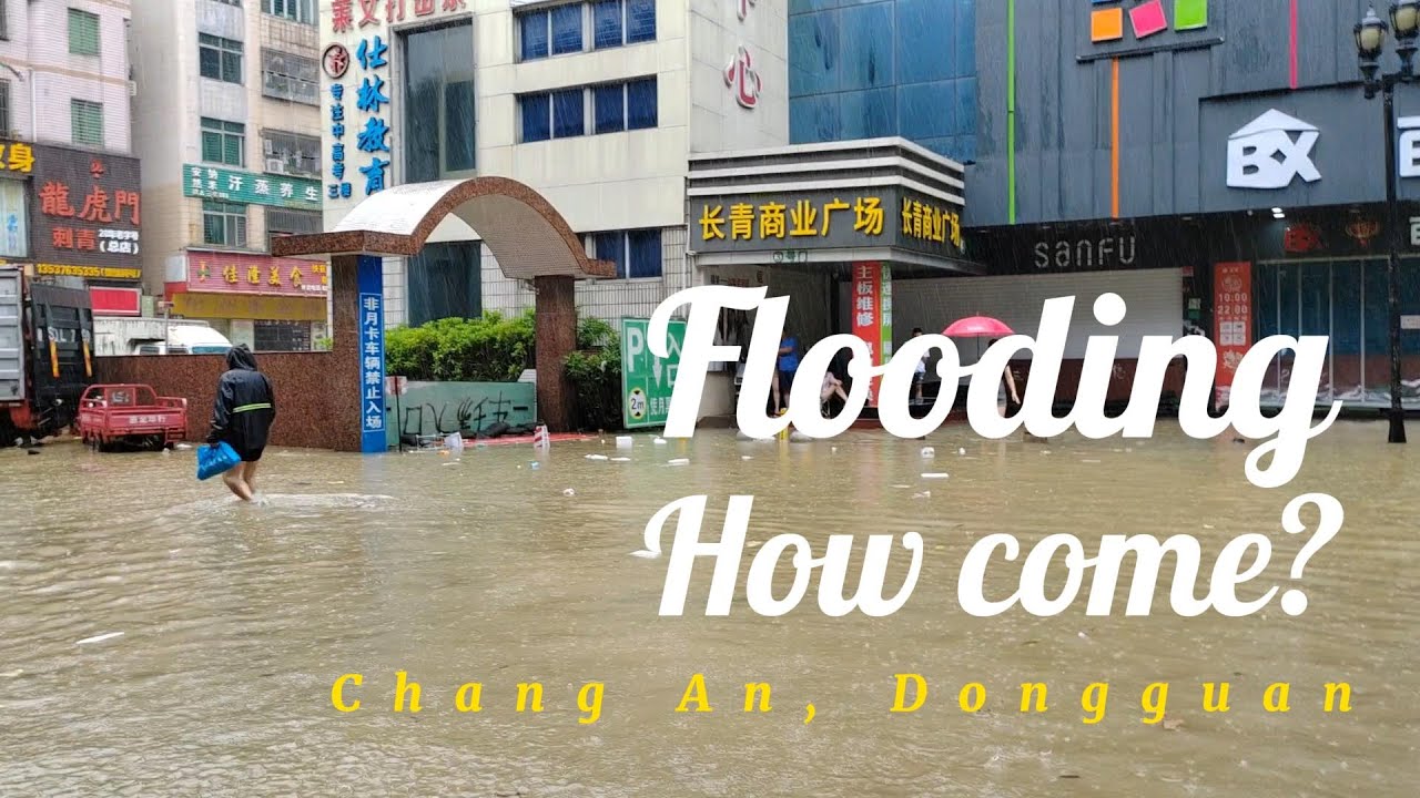 What? 什么 FLOOD in CHINA? Dongguan? Are you SURE? 中国的洪水？ 东莞？ 是否确定？ - YouTube