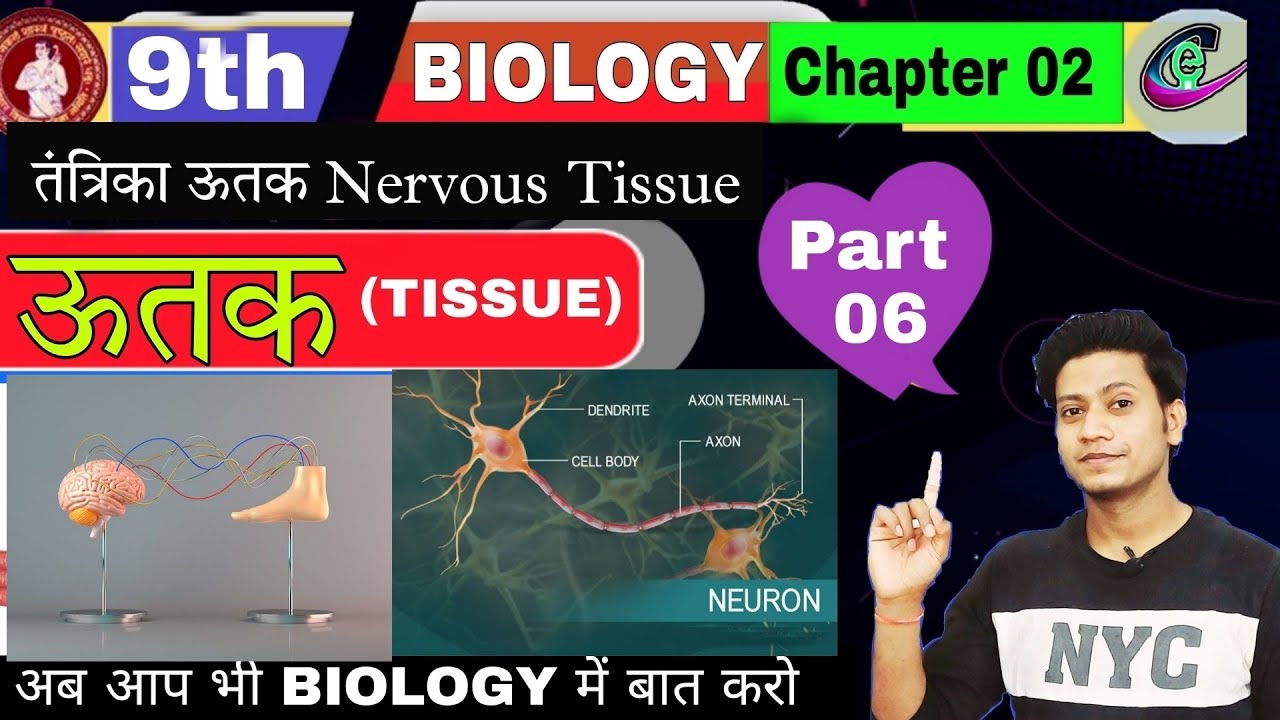 Nervous Tissue Class 9 Class 9 Tantrika Utak nervous-tissue-class-9-class-9-tantrika-utak