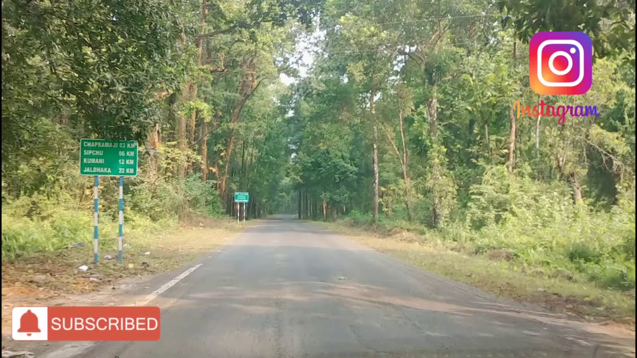 Sevoke forest - YouTube