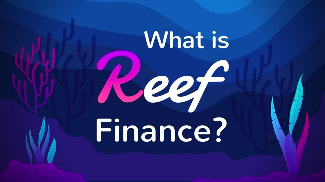 What is REEF Finance? | $REEF Easy Explained - YouTube