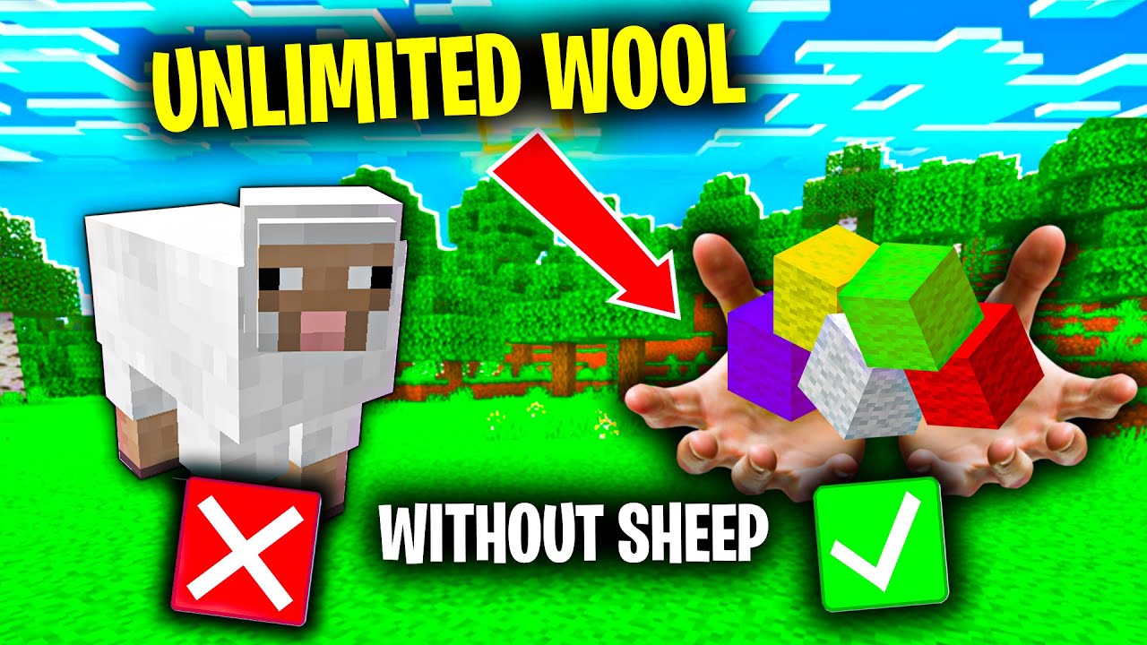 The EASIEST Wool Farm in Minecraft 1.21 | Without Sheep - YouTube