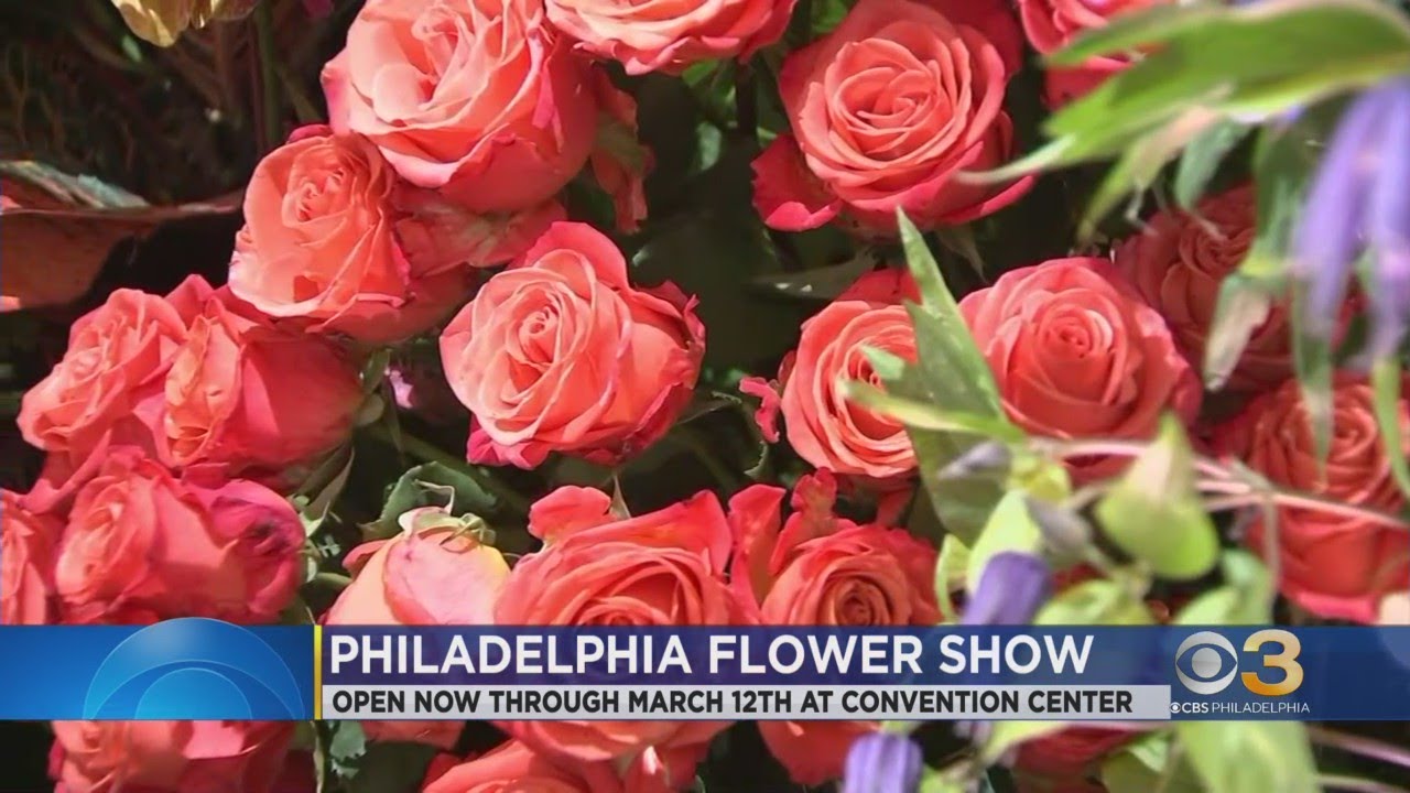 PHS's Philadelphia Flower Show 2023 opens at the PA Convention Center ...