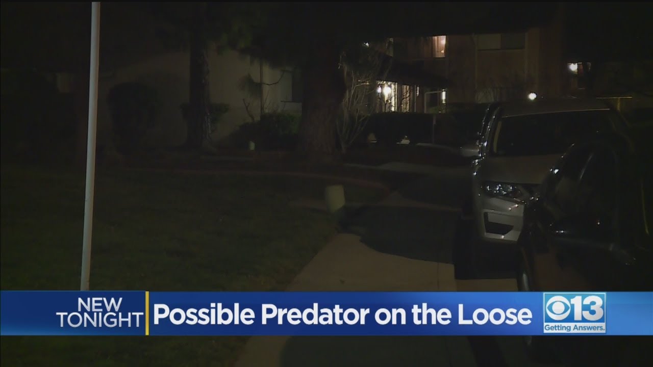 Possible Predator On The Loose In Davis - YouTube