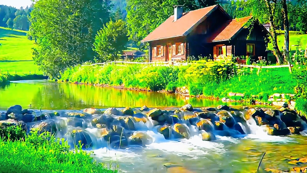 Relax in Nature, Gentle River for Calm, Focus & Sleep, Relaxing Nature ...