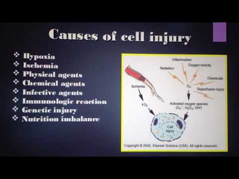 Cell Injury: causes and mechanisms of cell injury - YouTube